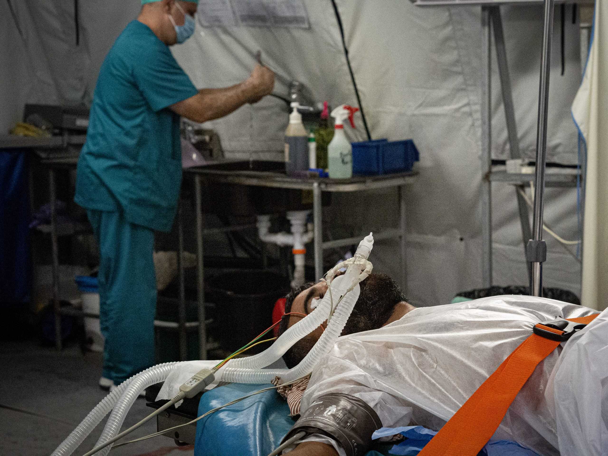 A Year in Pictures 2024