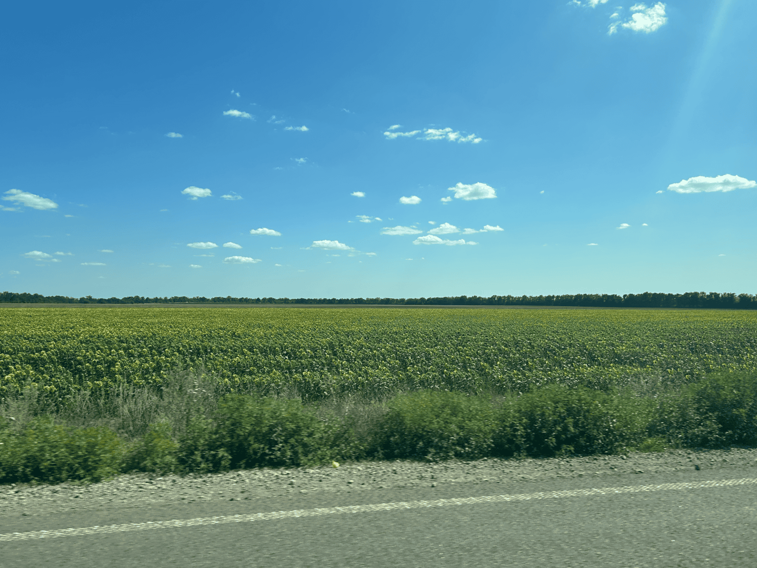 UK-Med announces new Chair - UK-Med